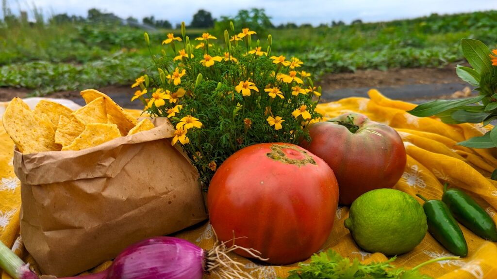 Reserve your DIY Farm to Table Salsa Kit | Shared Harvest Elgin Food Co-op